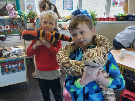 Classroom News | Taney Parish Primary