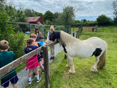 Classroom News | Taney Parish Primary