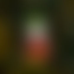 PATTERNS & EBOOK | Circulo Yarns | Page 3 of 26