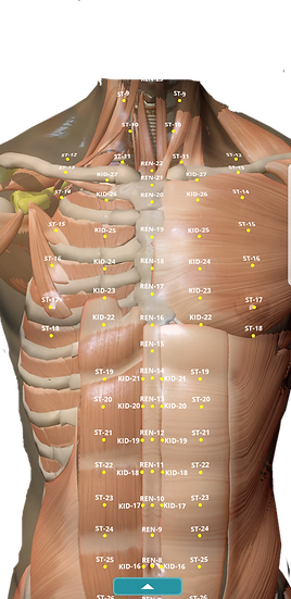Kyusho Jitsu | My Site