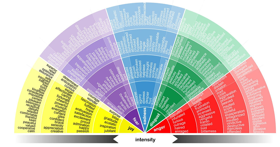 Our 5 Basic Emotions and How They Get Complex