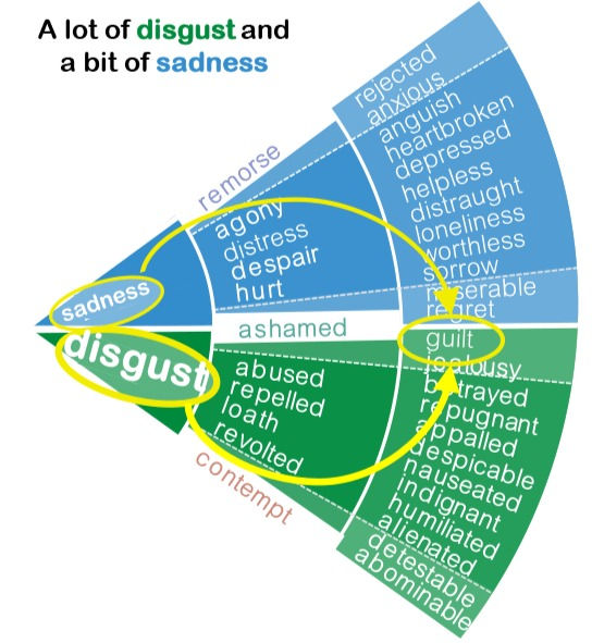 Our 5 Basic Emotions and How They Get Complex