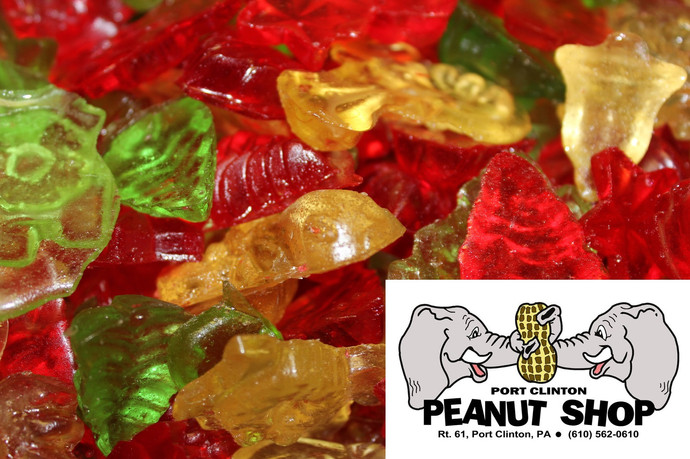 Candy Store | Port Clinton Peanut Shop | United States