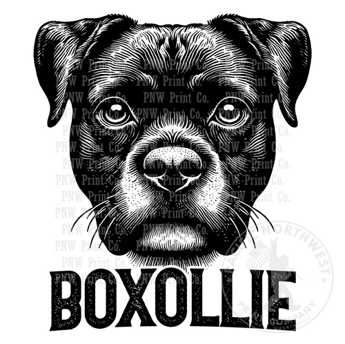 Boxollie-DTF Transfer | PNW Print Company