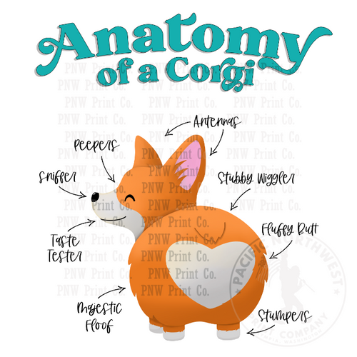 Anatomy Of a Corgi - DTF Transfer | PNW Print Company