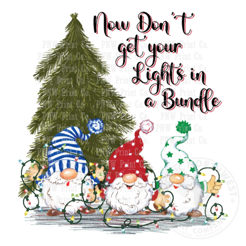 SS Don't Get Your Lights in a Bundle - DTF Transfer | PNW Print Company