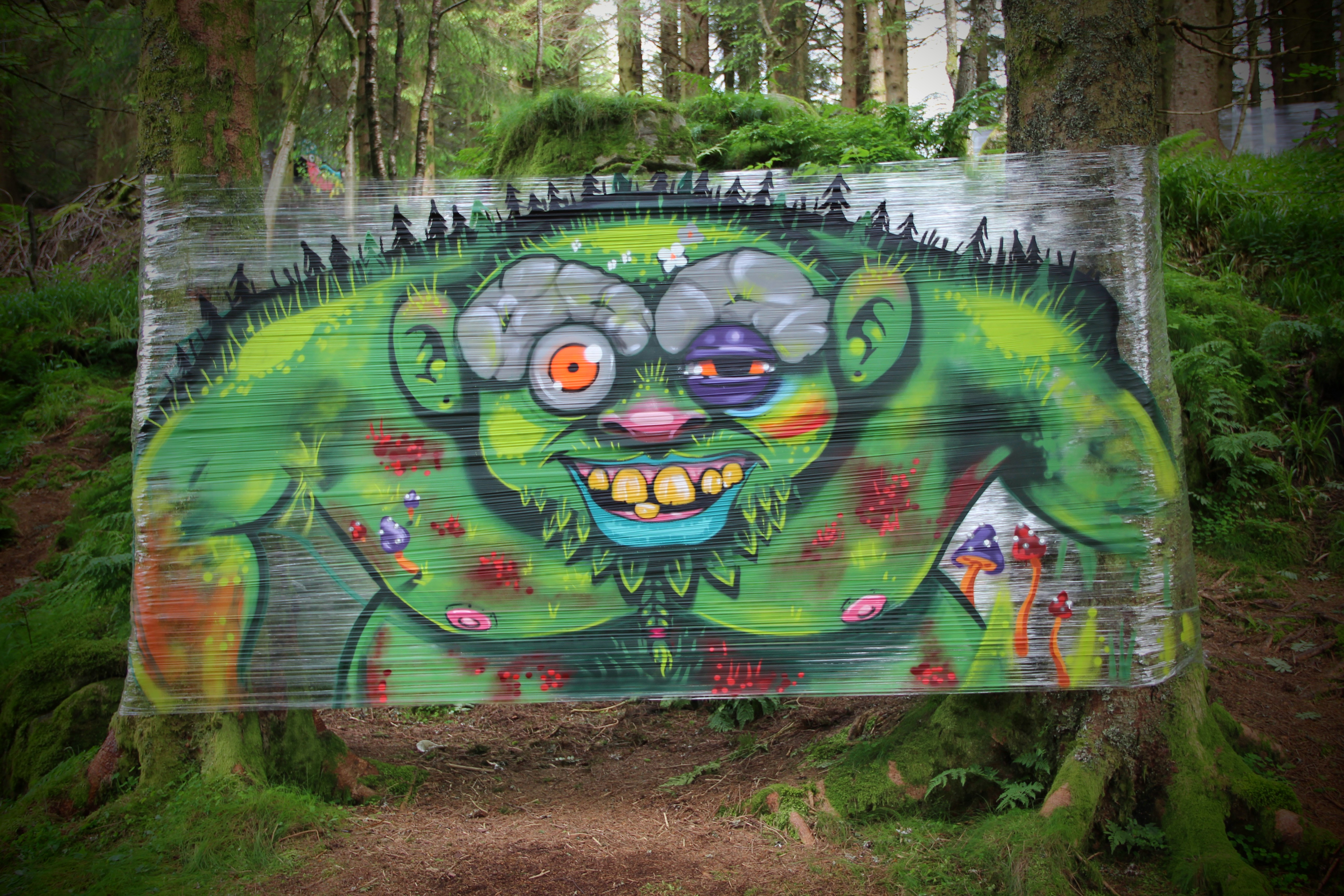 Troll Helnote | Norvège | La Terre Vue Des Cimes