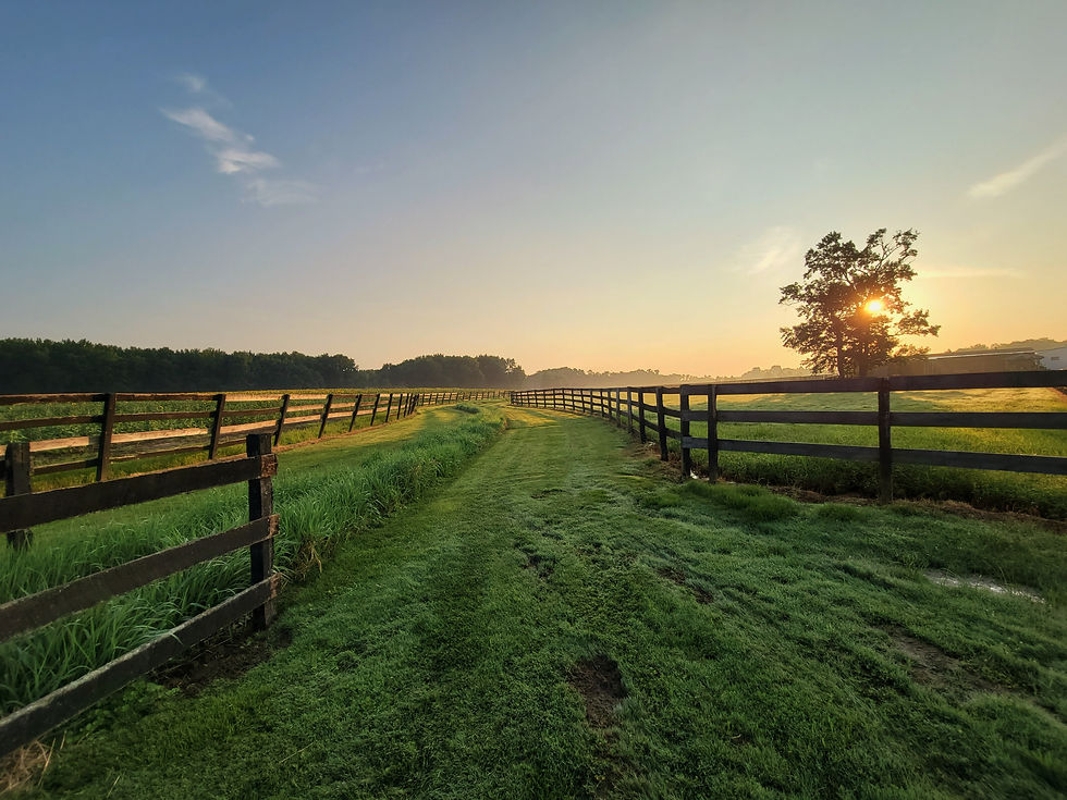 HOME | Arrowhead Farmstead