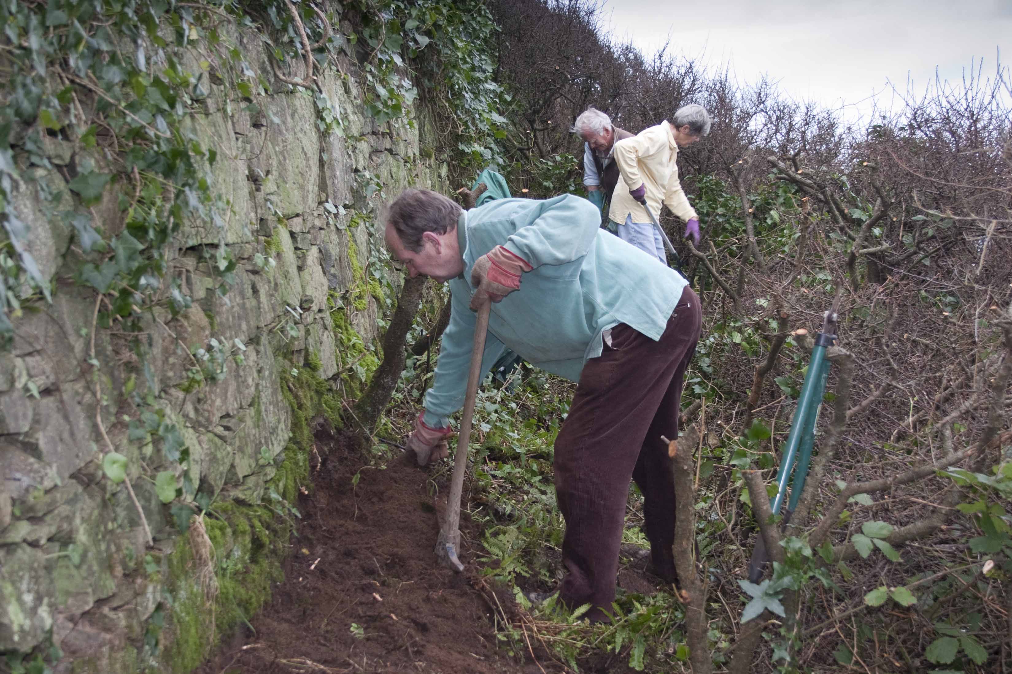 Home | La Société Sercqauise The Sark Society