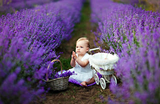 Lather Your Baby With Lavender