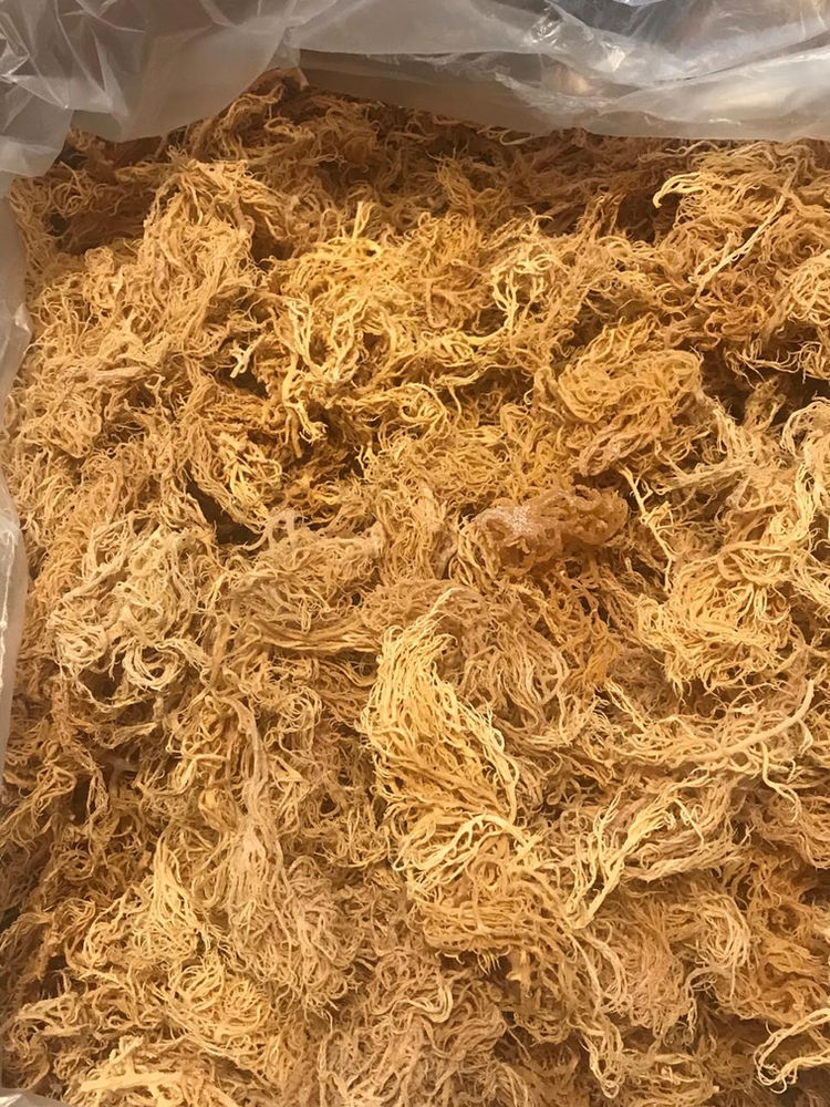 Wildcrafted Sea Moss > Farm Grown > Pool Grown: How To Spot The Difference