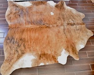 White Flank Golden Brindle with Chocolate Striping - XL ...