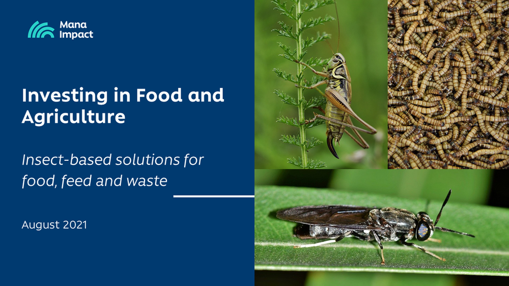 Insect-based solutions for food, feed and waste