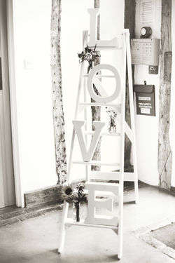 LOVE Ladders | sunflowers