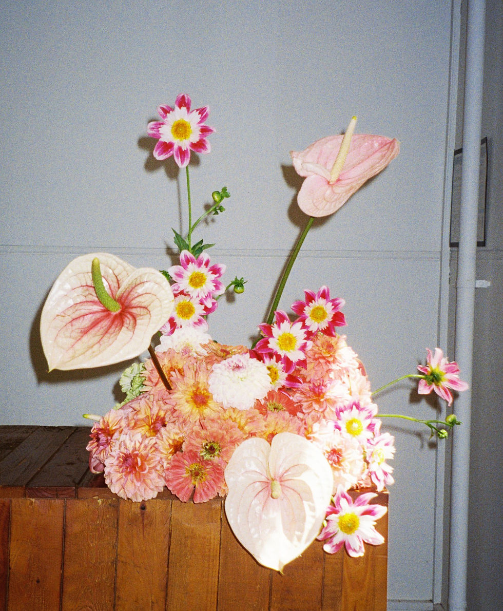 HOME | XFLOS | FLORIST | COLLINGWOOD