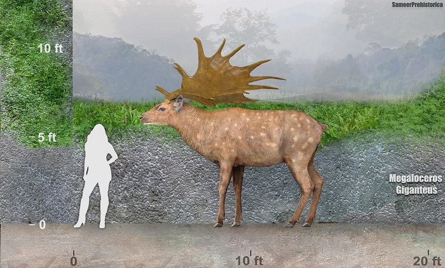 ICE AGE | Crowned as a True Ice Age King: