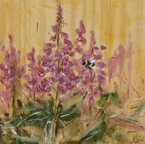 Regeneration (Fireweed Study) | The Laundromat