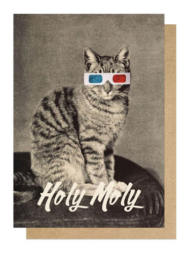 Holy Moly Cat Card | Cat Store