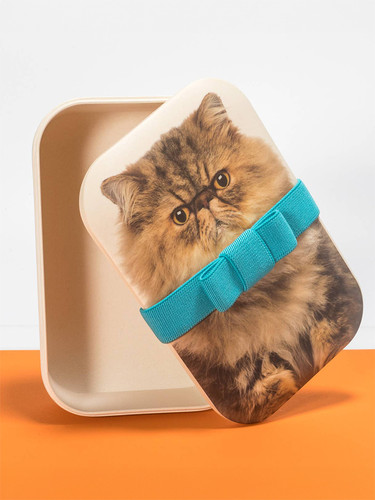 Hangry Cat Lunch Box for Fun Lunchtimes | Cat Store
