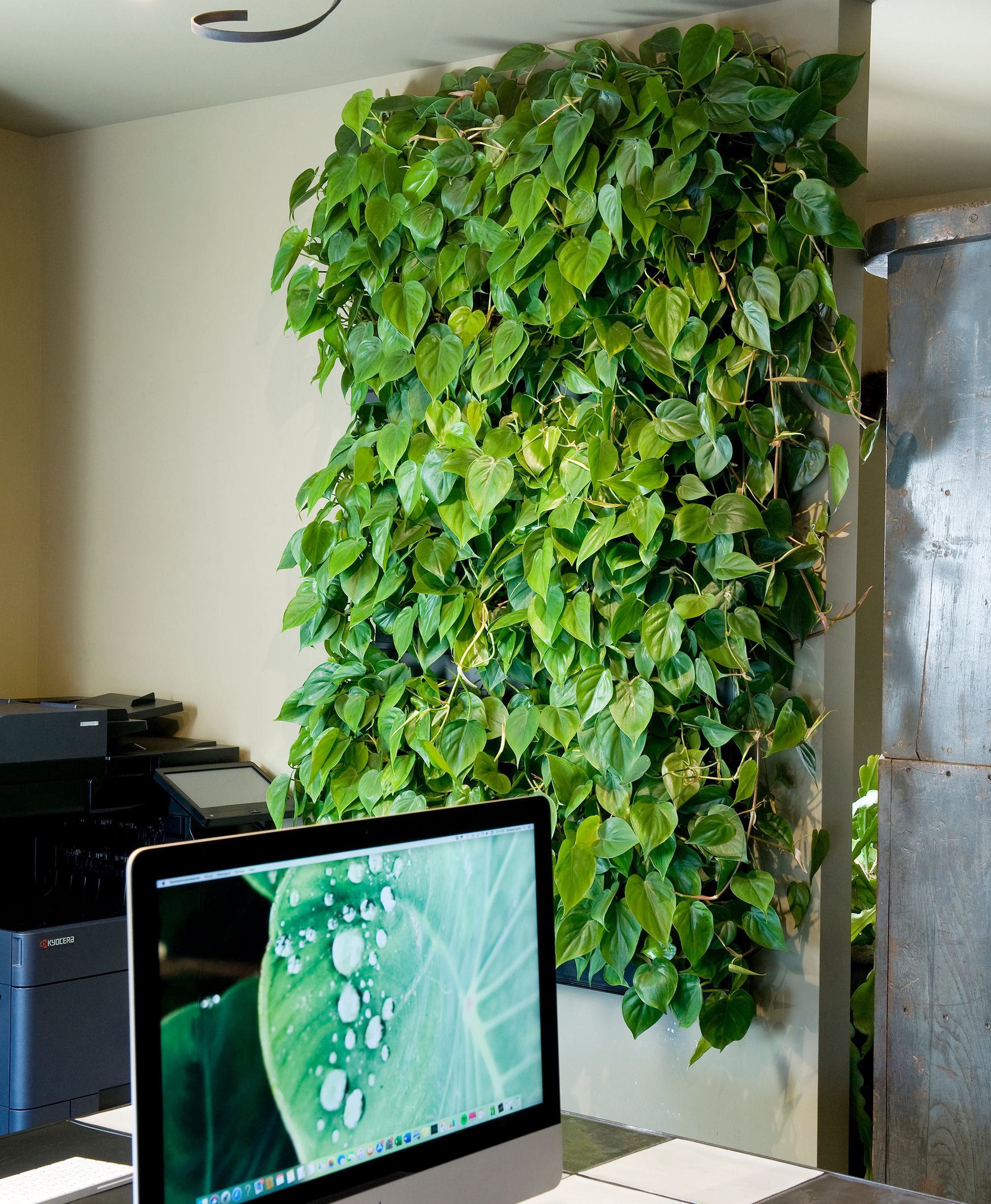 Live Panel Pack Manual Watering Easy Living Wall | LIVING WALLS