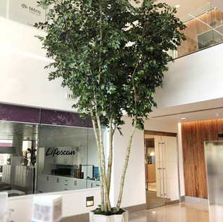 Large Artificial Trees