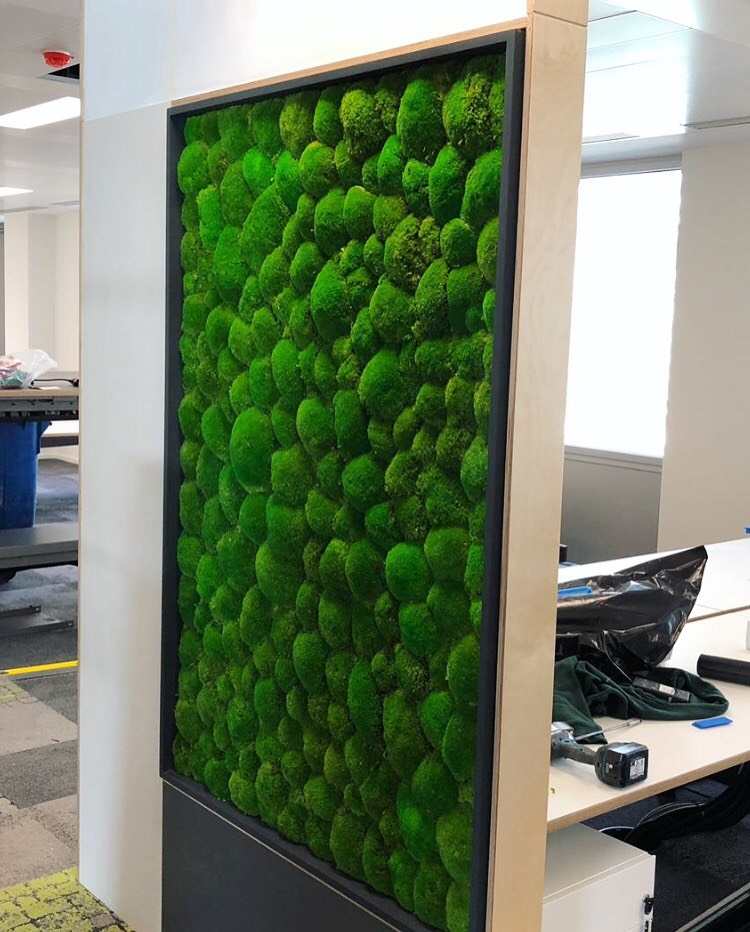 Moss Walls and Biophilic Preserved Plant Walls