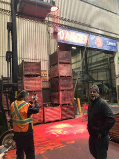 Crane Lights | Laserglow