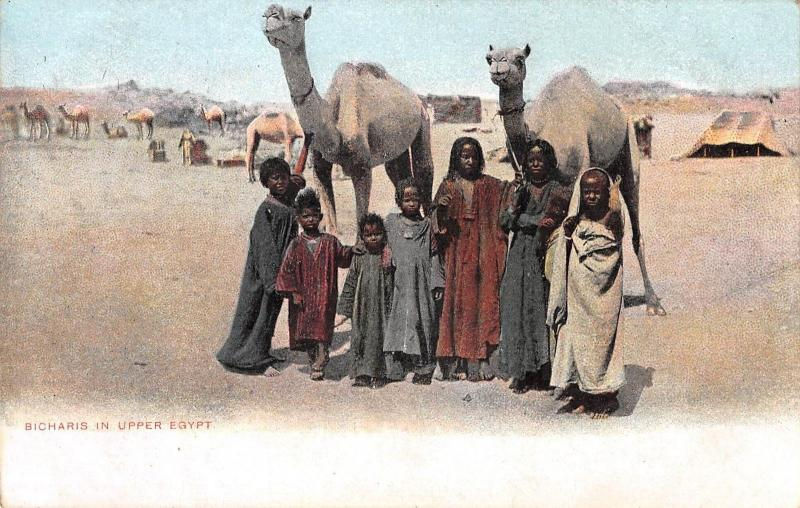 The Portrait of the Israelites of History: What and how did historians ...