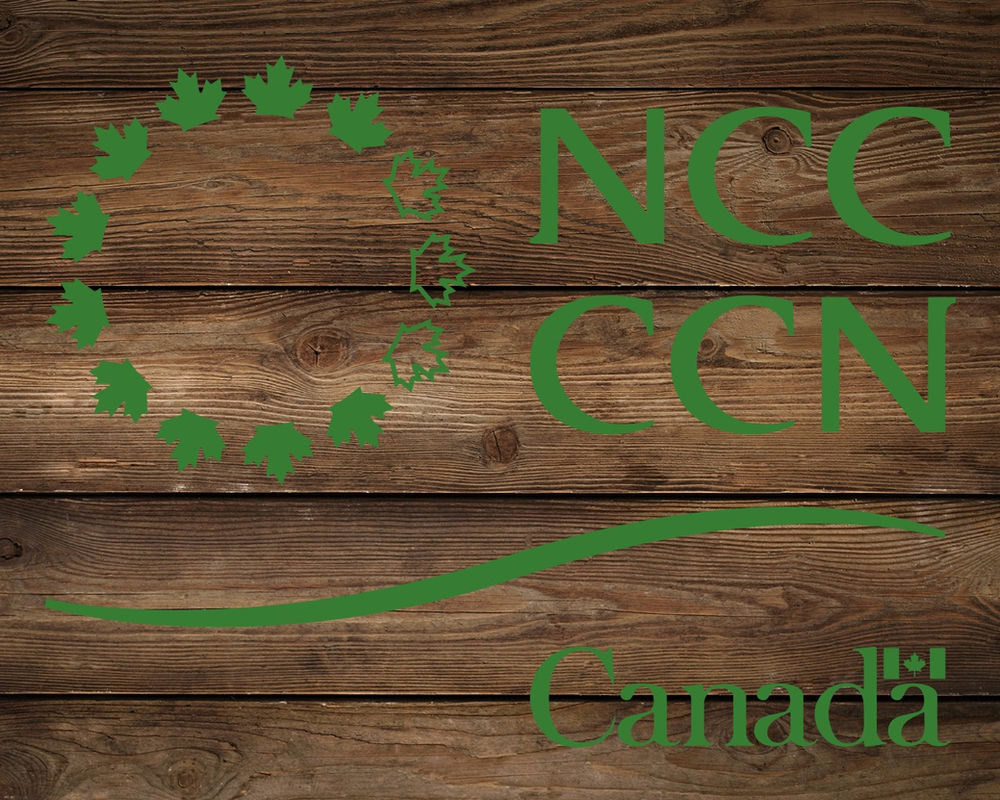 Boathouse update from the ncc