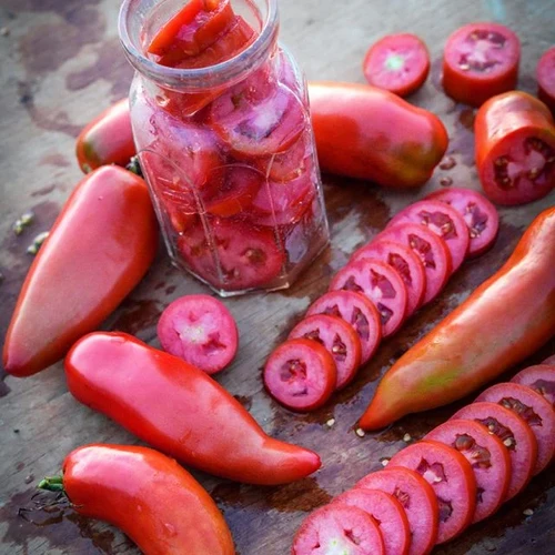 Tomato Jersey Devil | My Vxw Site 9yfxv4