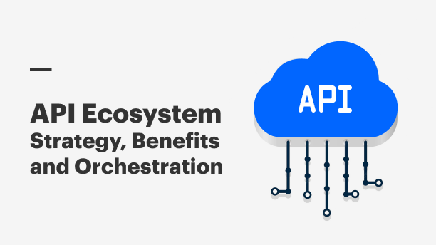 Neobank Software Platform | Velmie