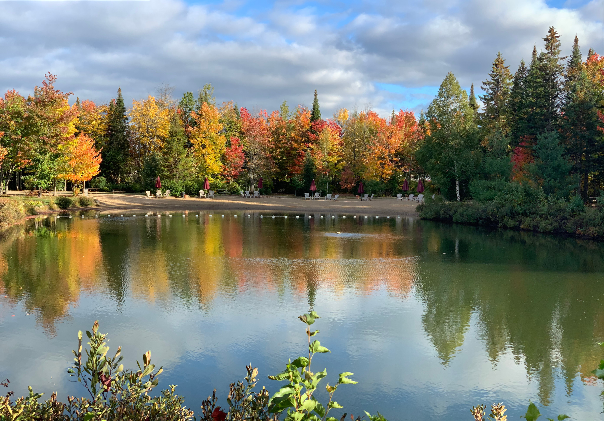 Camping du Parc | mauricie | 950 Chemin Principal, Saint-Mathieu-du ...