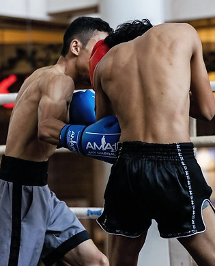 Sharks Muay Thai & MMA | Malaysia's Premier Muay Thai & Mixed Martial ...