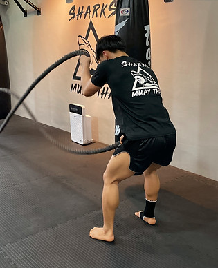 Sharks Muay Thai | Malaysia's Premier Muay Thai & MMA Training Facility ...