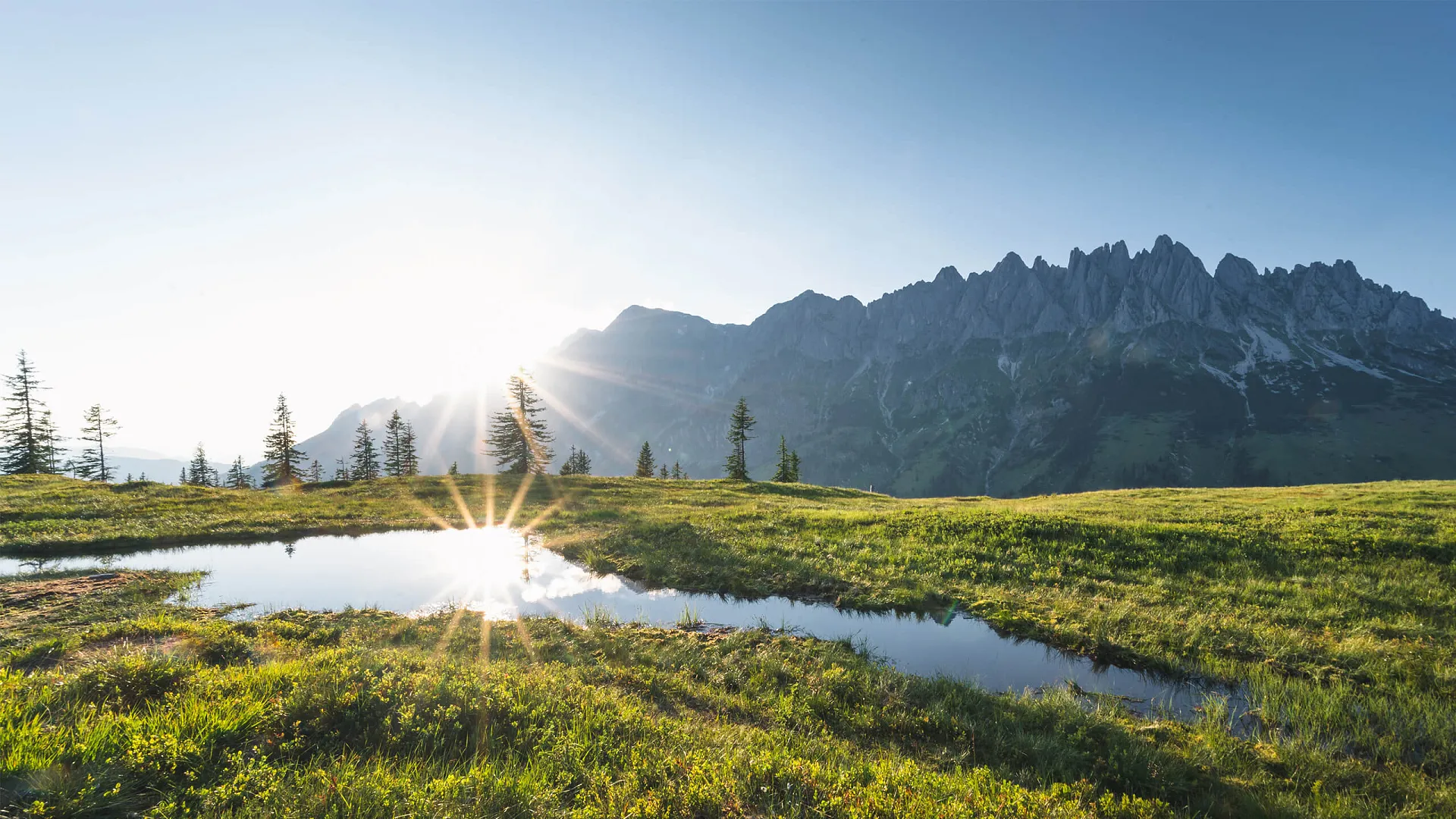 Alpenglück Hinterhal | Appartement | Sonnbichl 3, Hinterthal, Austria