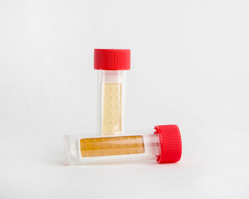 BTM3R Dipslides Box of 10 Yeast & Bacteria Testing - Dimanco Limited