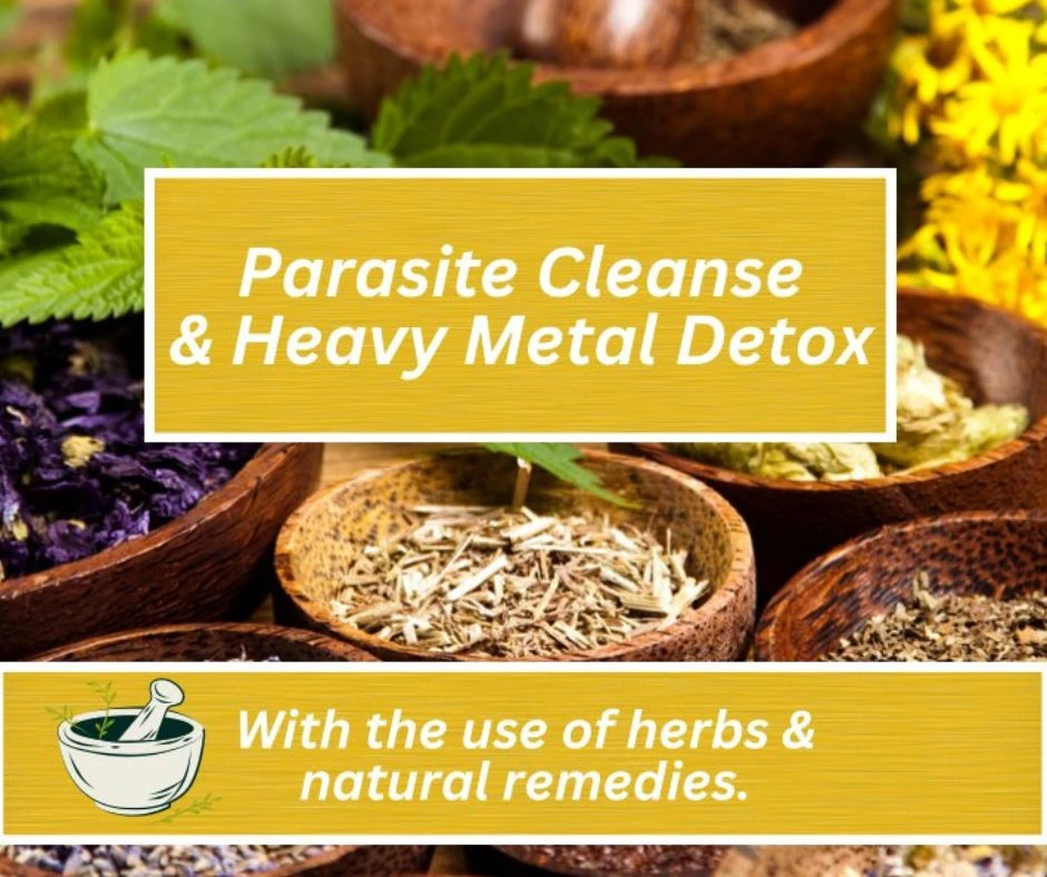 Surprising Detox Heavy Metals And Parasites Images