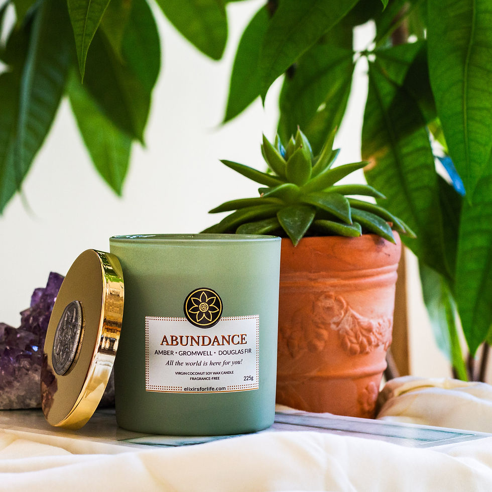 Life Refreshing Candles | Wood wick Candles | Elixirs for Life