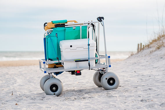 Rentals | The Beach Mule