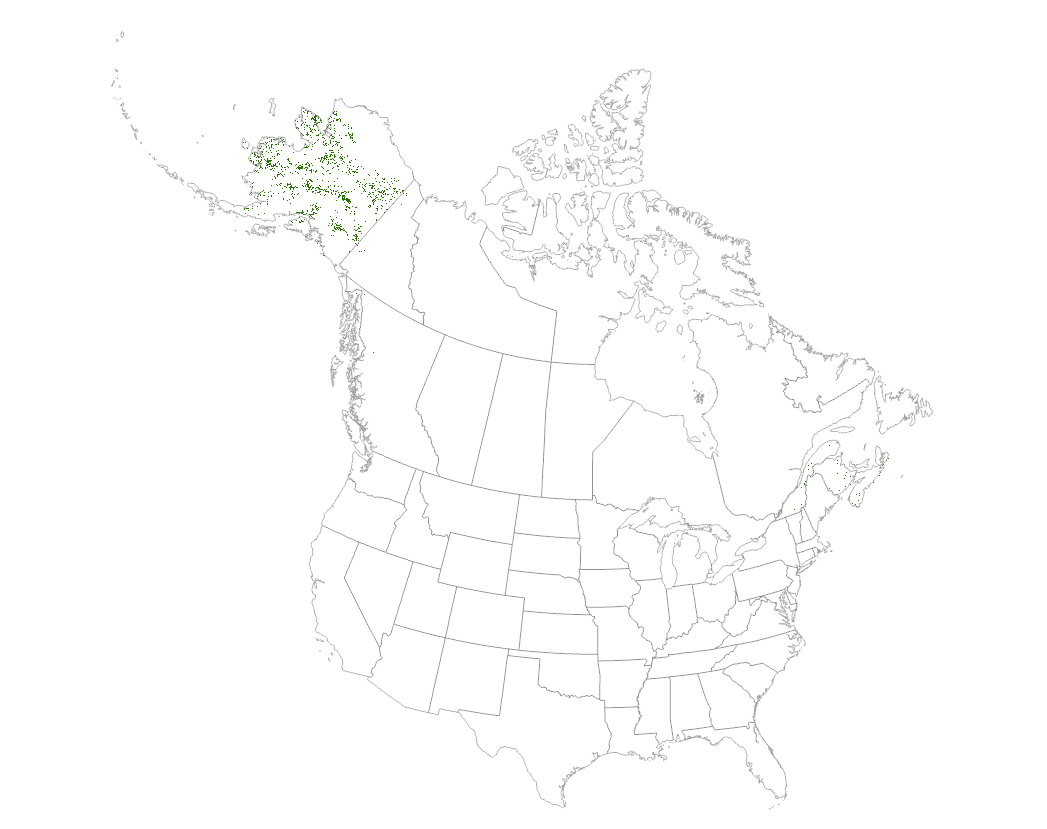 Nearctic Boreal Bog and Fen - Code: Ne11C | Habitats of World