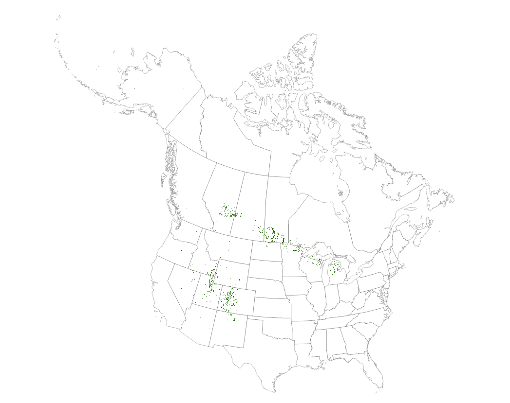 Aspen Forest and Parkland - Code: Ne3E | Habitats of World