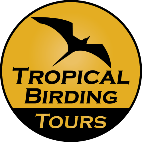Bird Tour Australia | Bird Watching Tours | Tropical Birding Tours