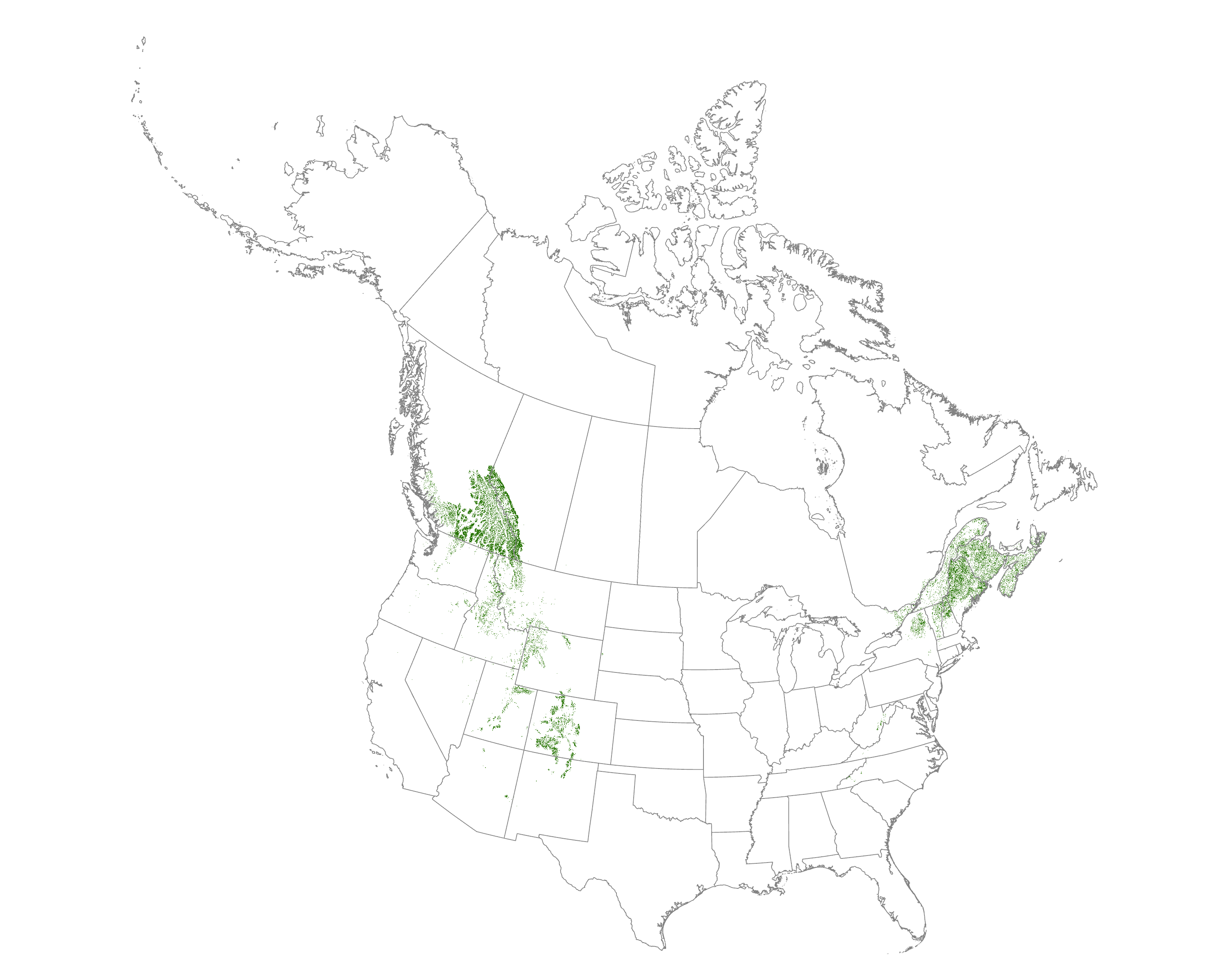 Nearctic Montane Spruce-Fir Forest - Code: Ne1C | Habitats of World