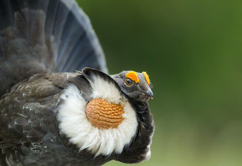 Photo Tour | North America | USA | Washington State