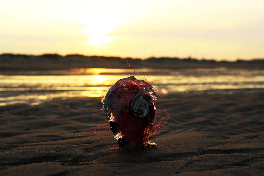 Ice head on beach