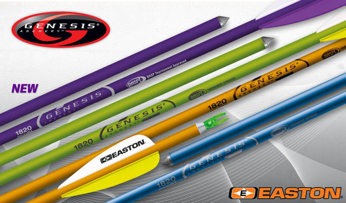 EASTON GENESIS ARROWS | target-world