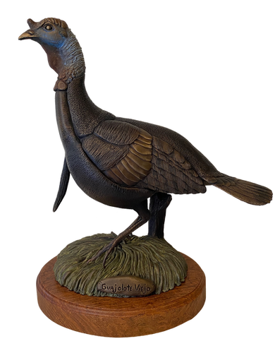 GUAJOLOTE VIEJO | hiblerbronzecompany