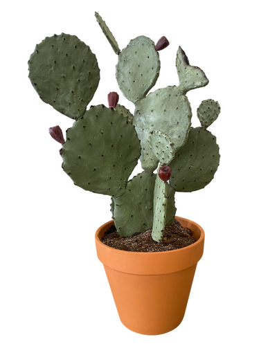 LARGE CLAY POT CACTUS CLUSTER | hiblerbronzecompany