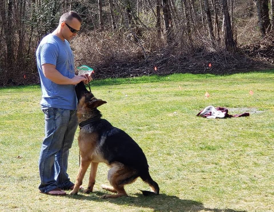 Basic Obedience Group Class | Snohomish | Audax K9 Academy