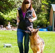 Private Dog Training Lessons | Snohomish | Audax K9 Academy